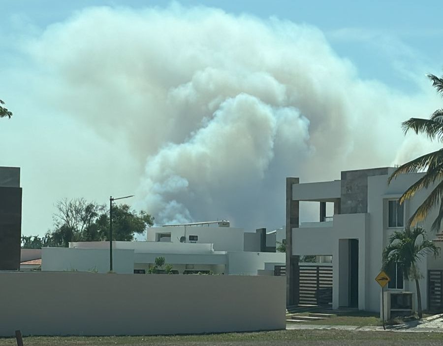Insoportable olor a humo enferma a niños – LA RED DE ALTAMIRA