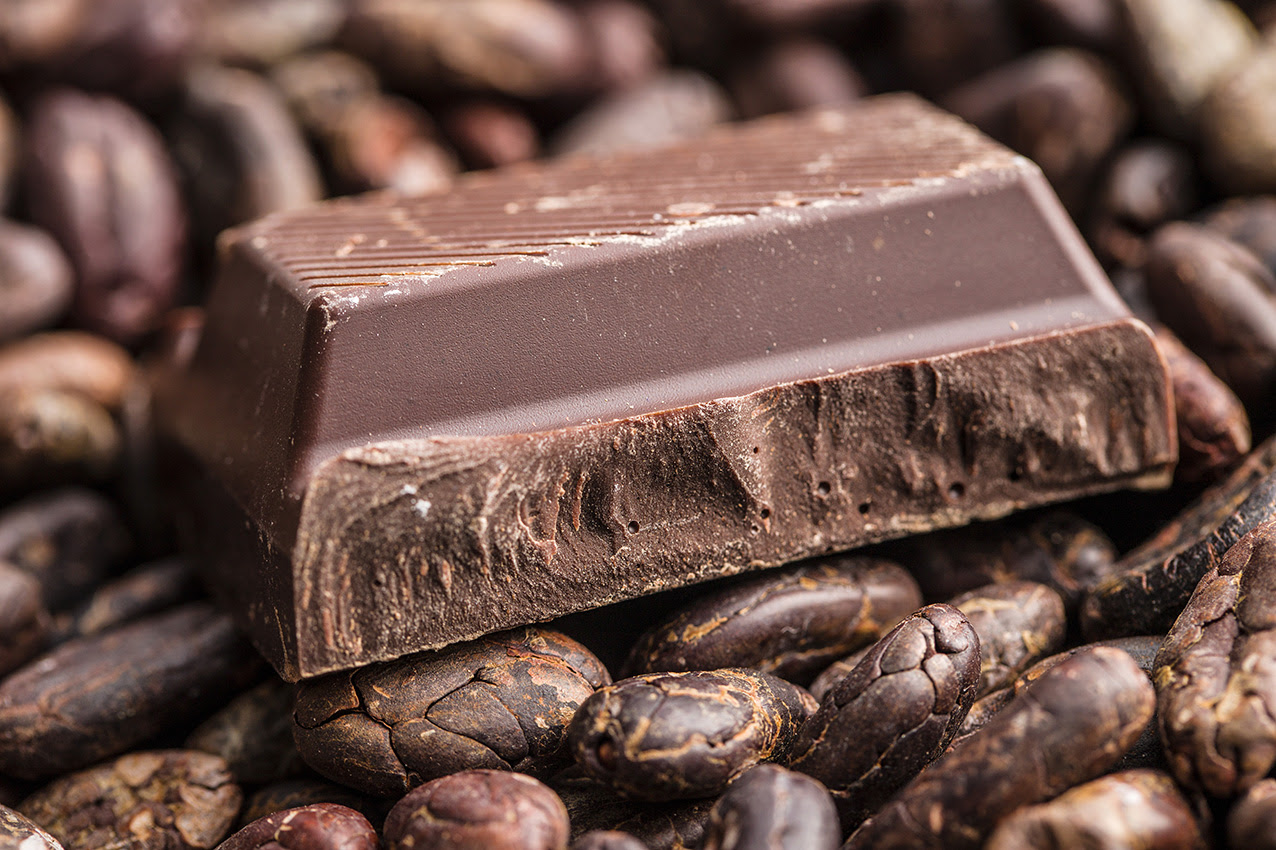 El sabor del Chocolate y su tradición mexicana – LA RED DE ALTAMIRA